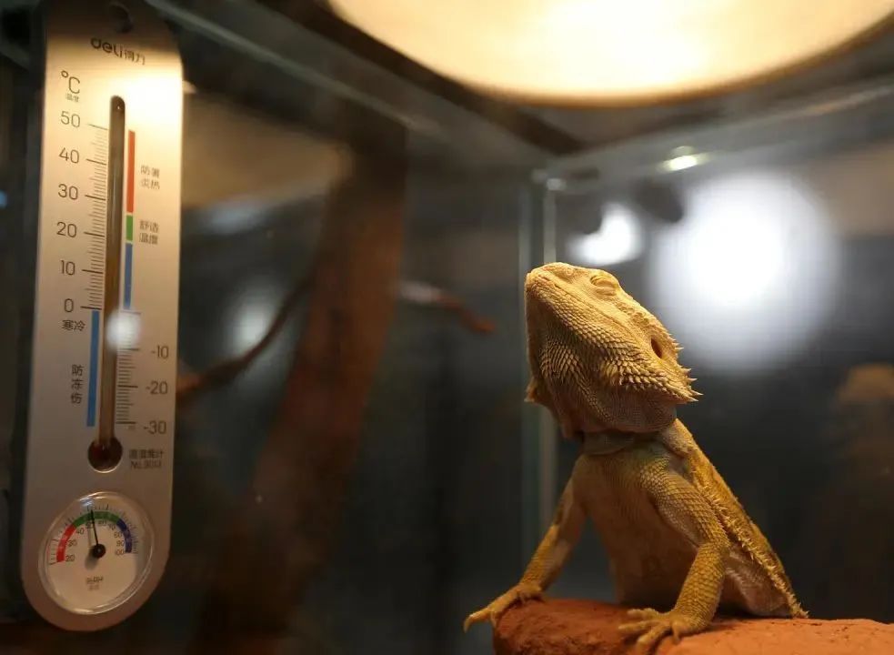 Comparison of Spectrophotometer, Semi-automatic And Fully Automatic ...